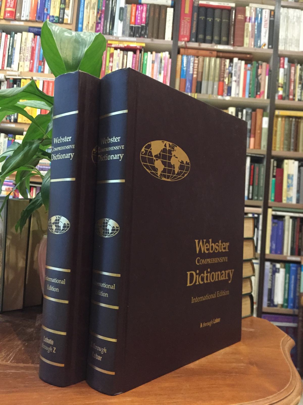 Webster Comprehensive Dictionary (International Edition)