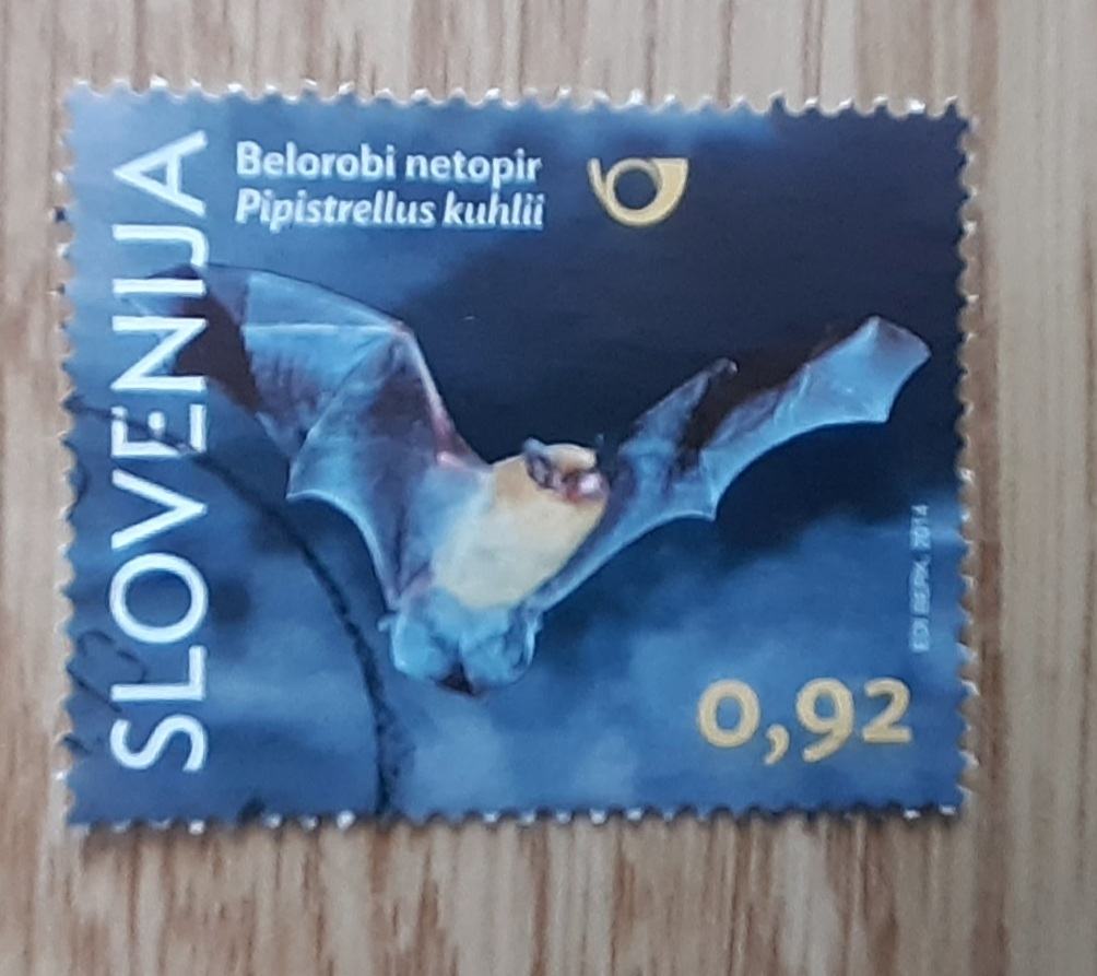 SLOVENIJA 2014 Belorobi netopir žigosana znamka