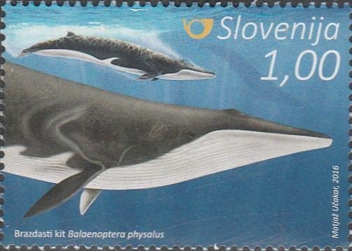 SLOVENIJA - (MI.1215) BRAZDASTI KIT