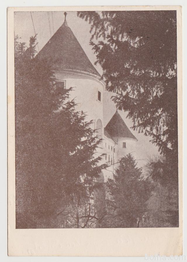 Grad Mokrice 1955