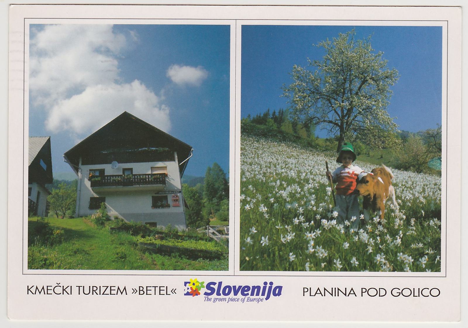 Planina pod Golico Golica Kmečki turizem BETEL pastir pastirček