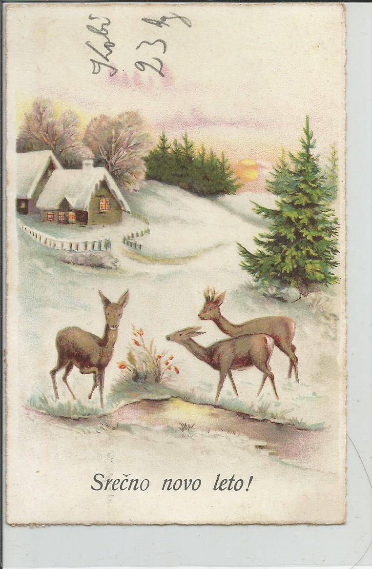 SREČNO NOVO LETO