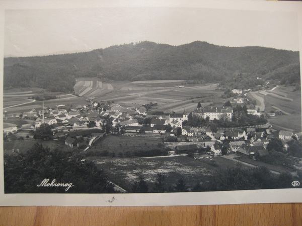 STARA RAZGLEDNICA - MOKRONOG