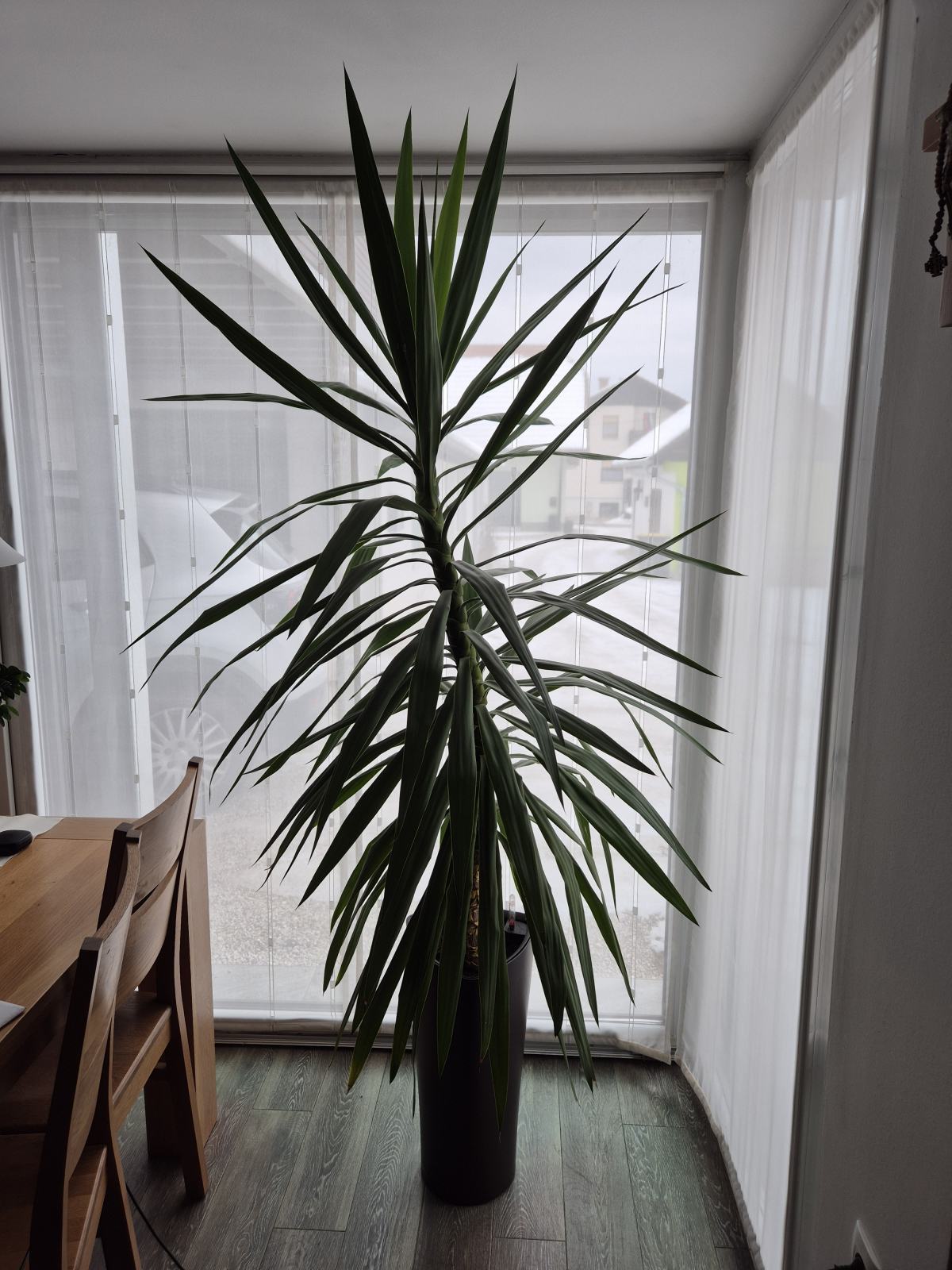 Drevo življenja Yuka 230 cm prodam