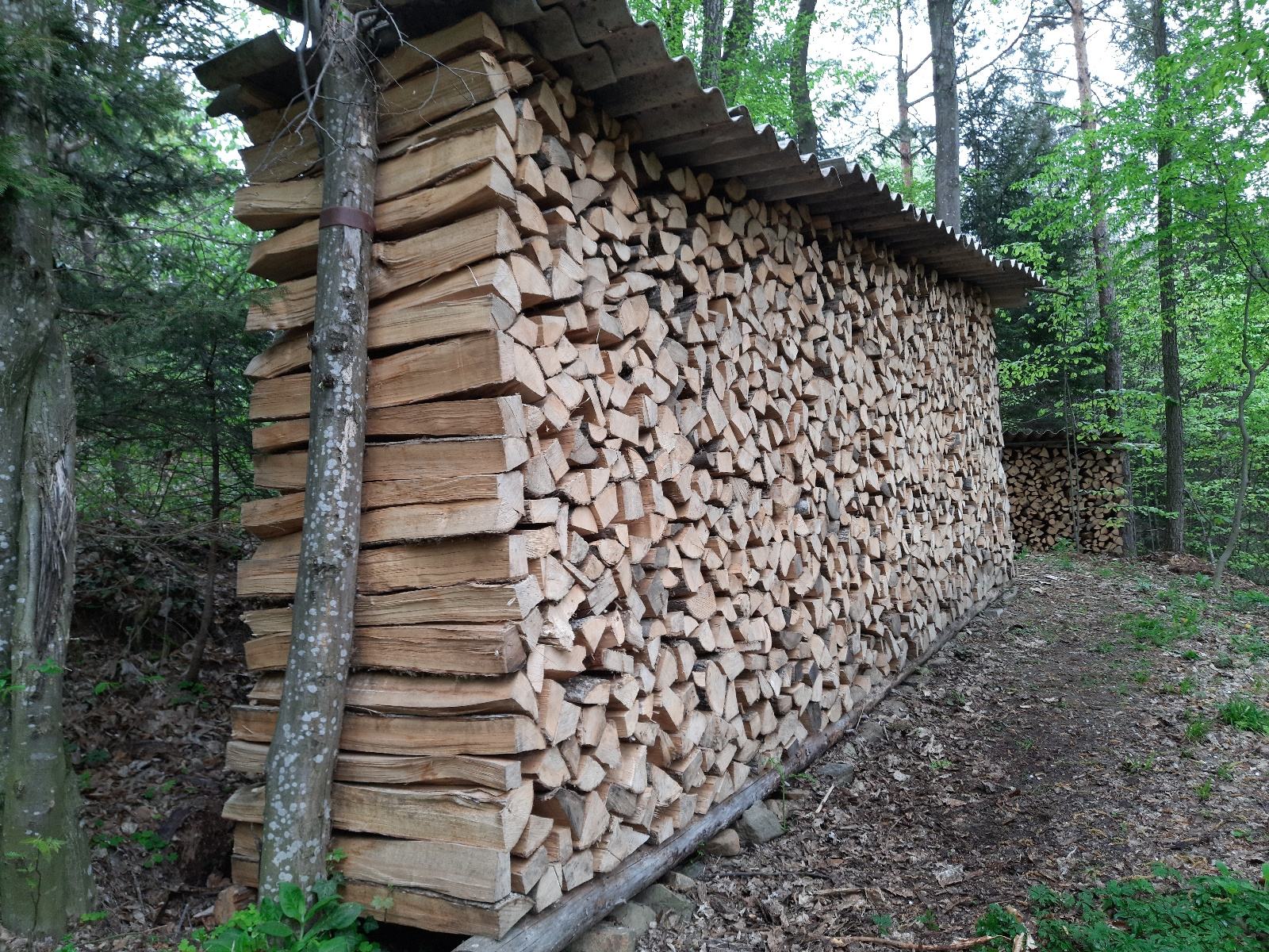 Suha jesenova in brezova drva