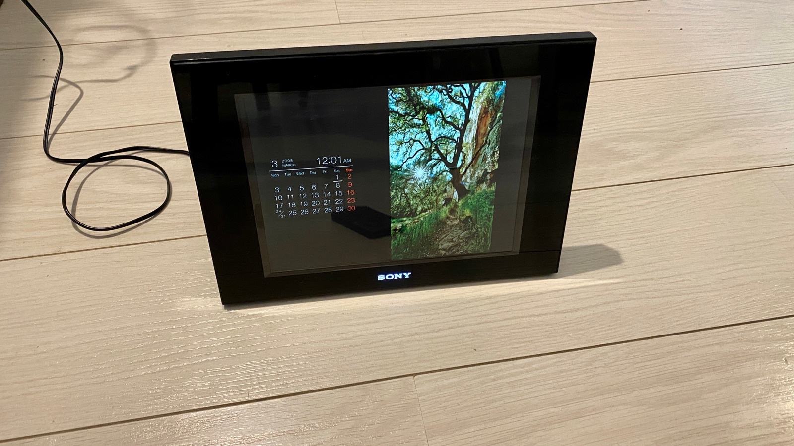 Sony DPF D80