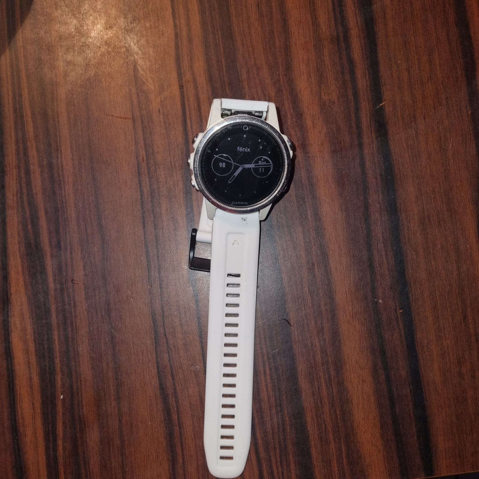 Športna ura Garmin Fenix 5