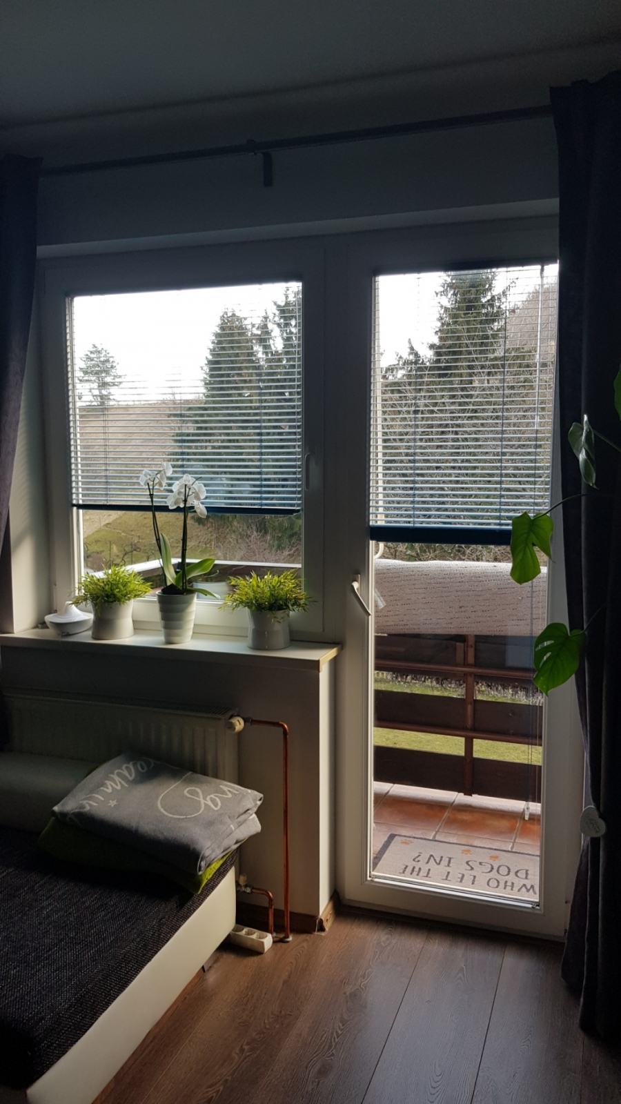 Prodam stensko okno z vrati