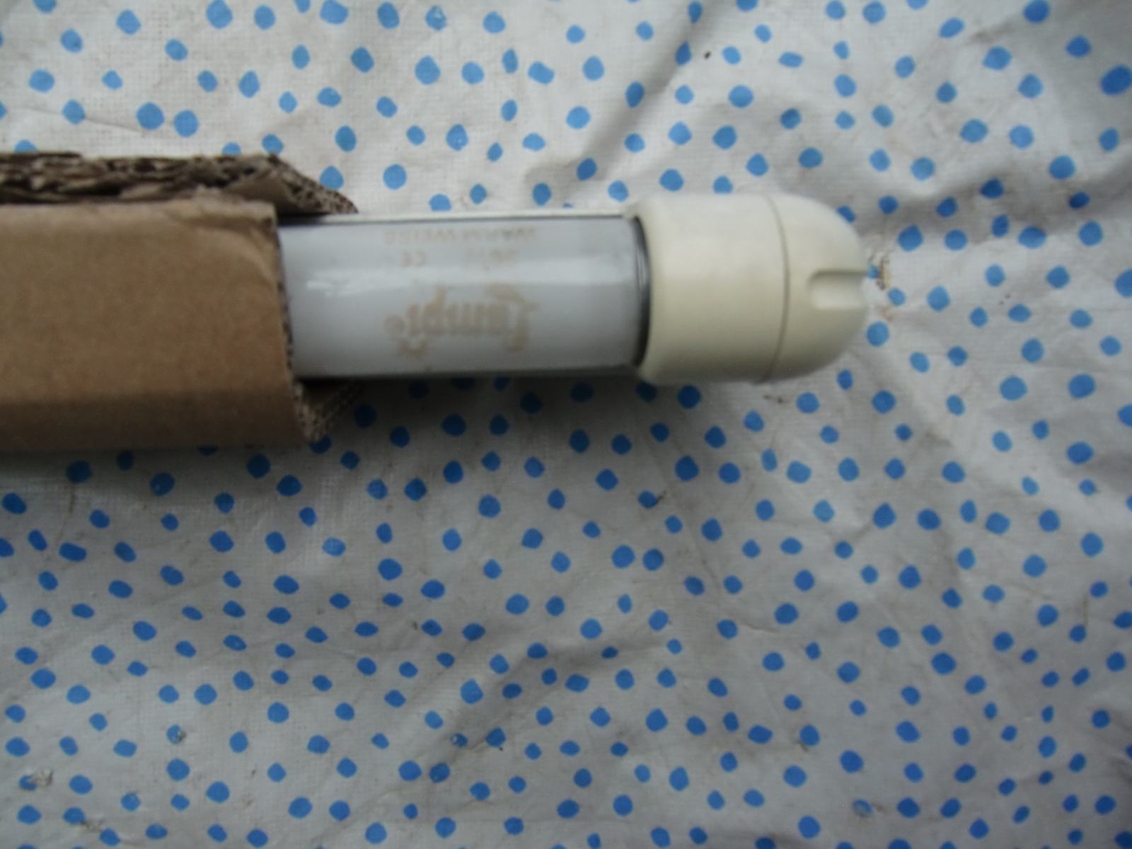 ELEKTRIČNA NEONSKA LUČ