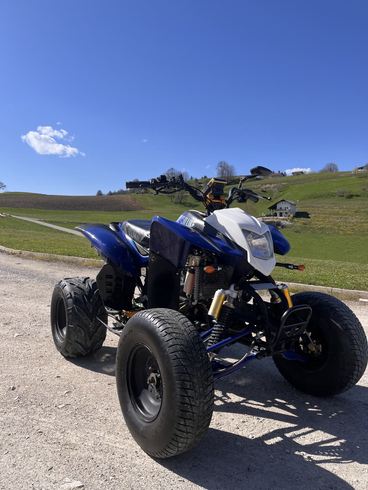 Druge znamke Bashan bs-200s7 200 cm3, 2008 l.