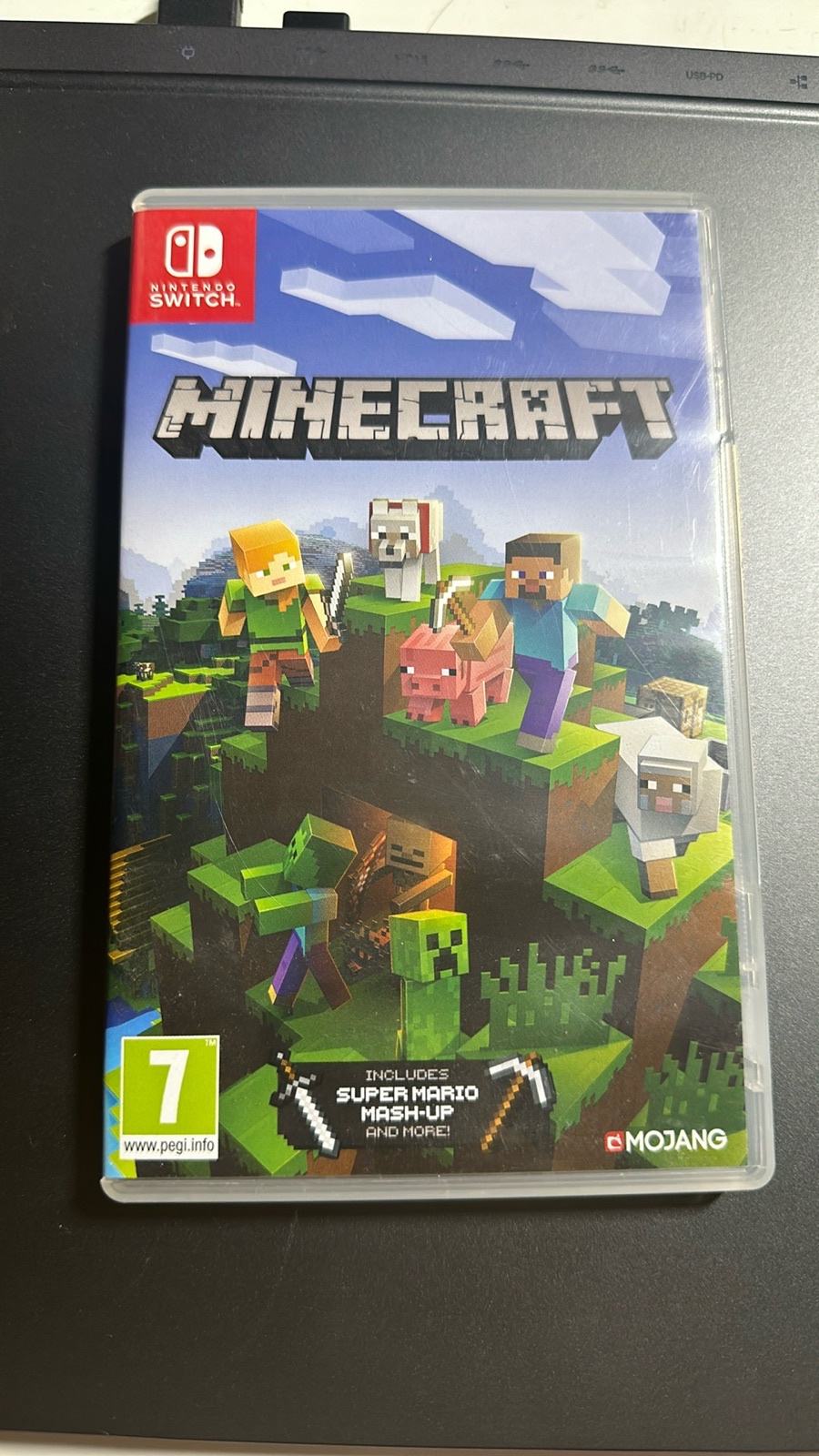 Minecraft Nintendo Switch