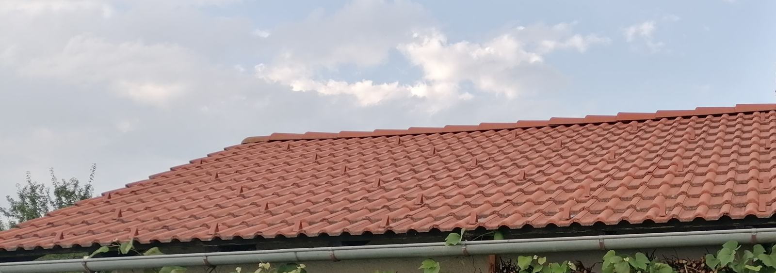 Strešna kritina, strešniki Bramac EN490