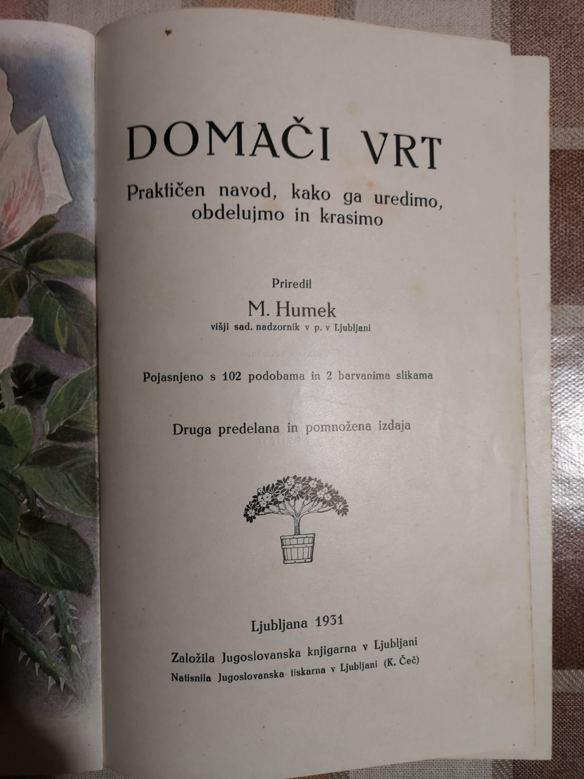 Domači vrt / Martin Humek, 1931