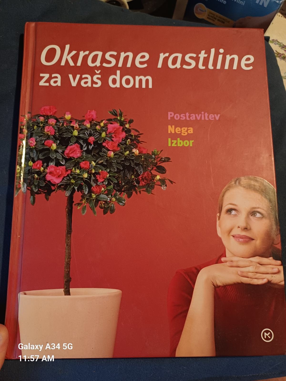 okrasne rastline za vaš dom