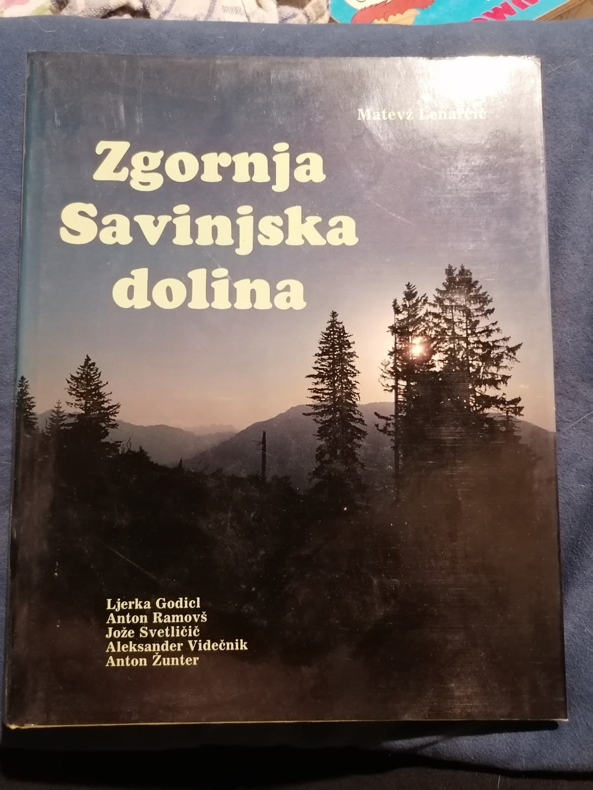 Zgornja Savinjska dolina