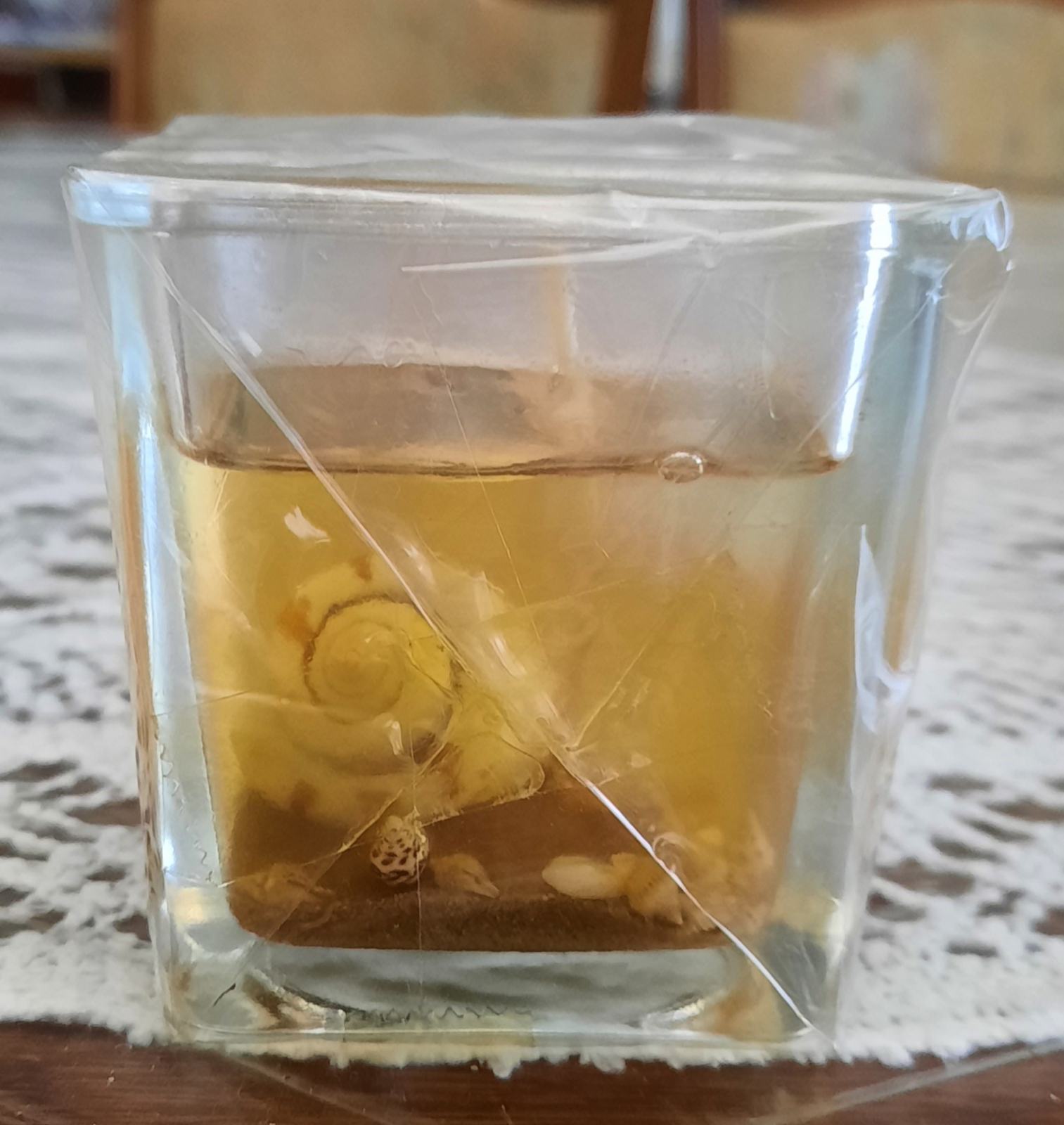 OLJNA SVEČA V STEKLENEM KOZARCU