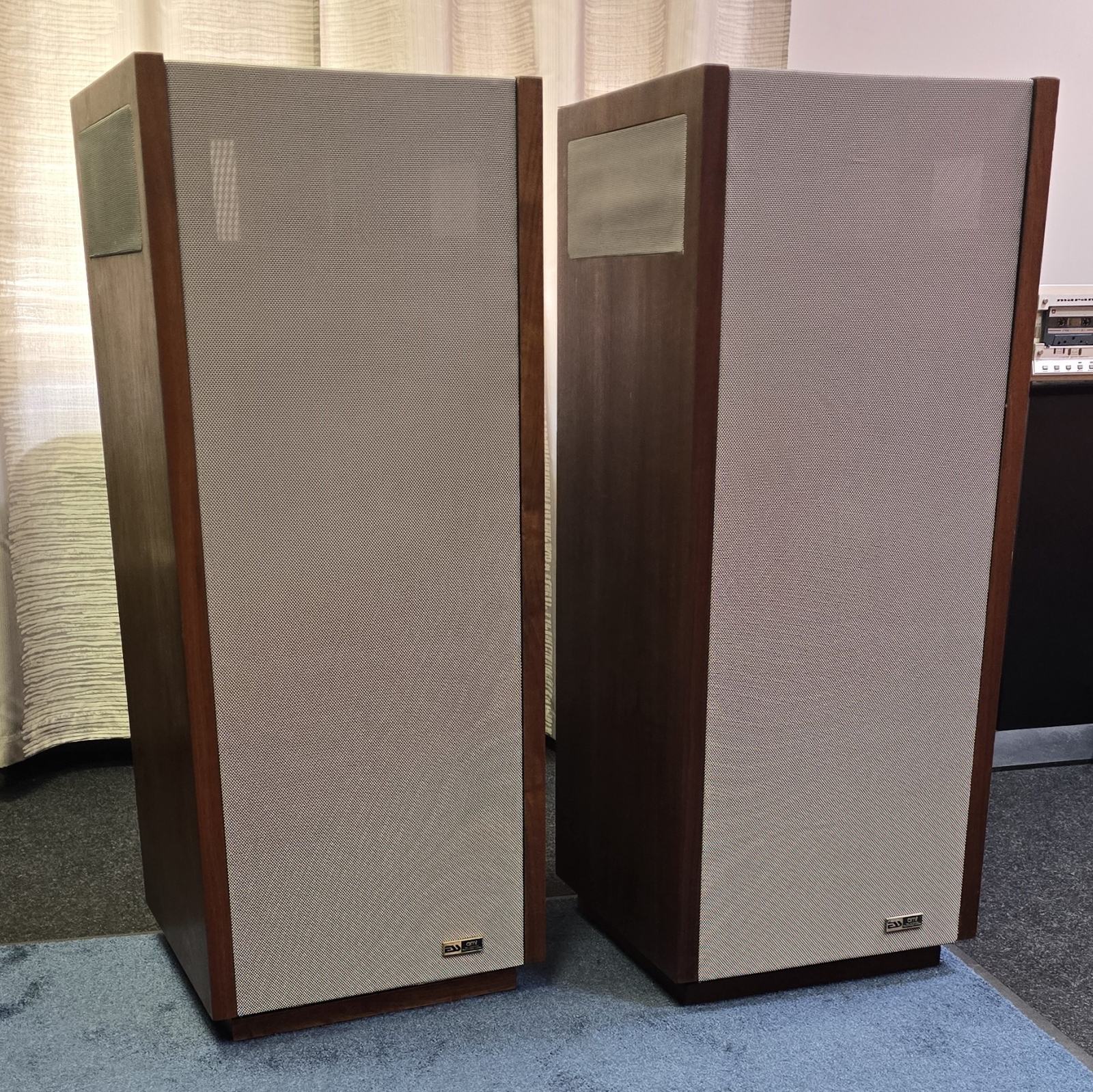 ESS AMT monitor