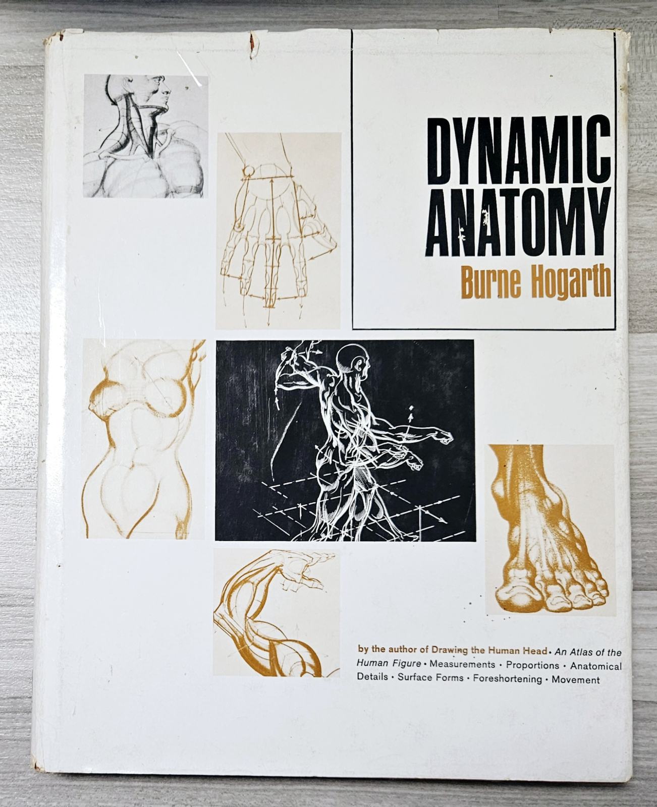 DYNAMIC ANATOMY Burne Hogart