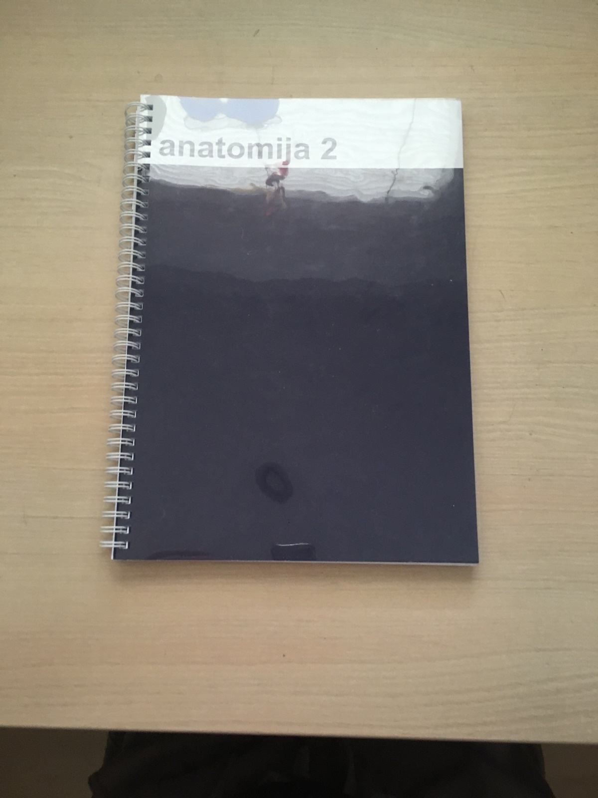 Anatomija 2, skripta