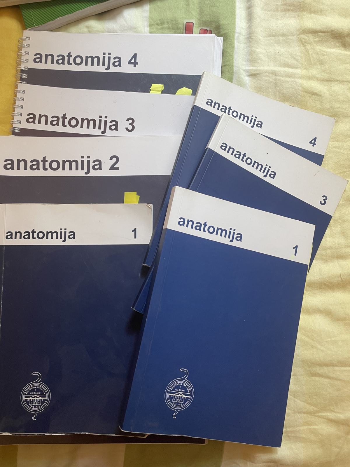 Anatomija modra skripta 1