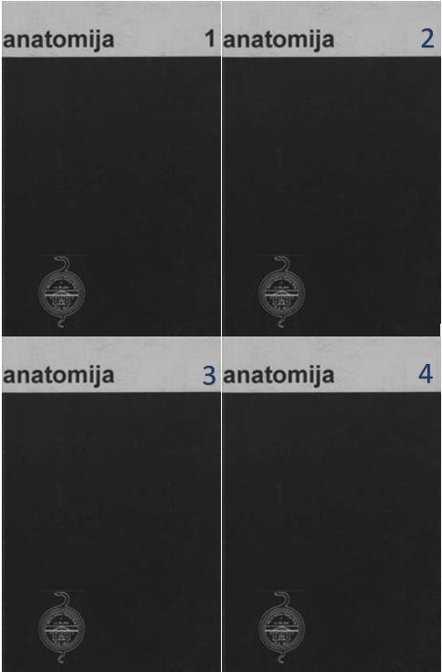 KUPIM Anatomija, skripta za medicinsko fakulteto 1, 2, 3, 4