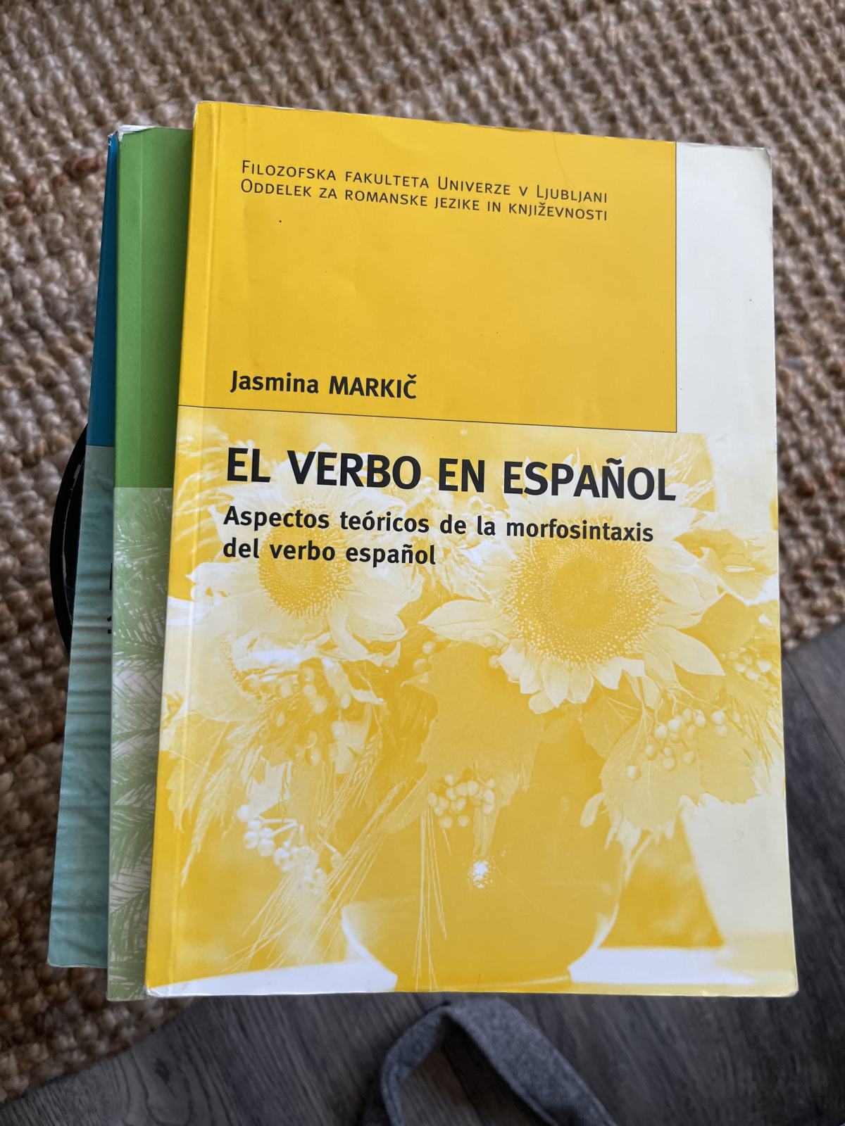 El verbo en espanol
