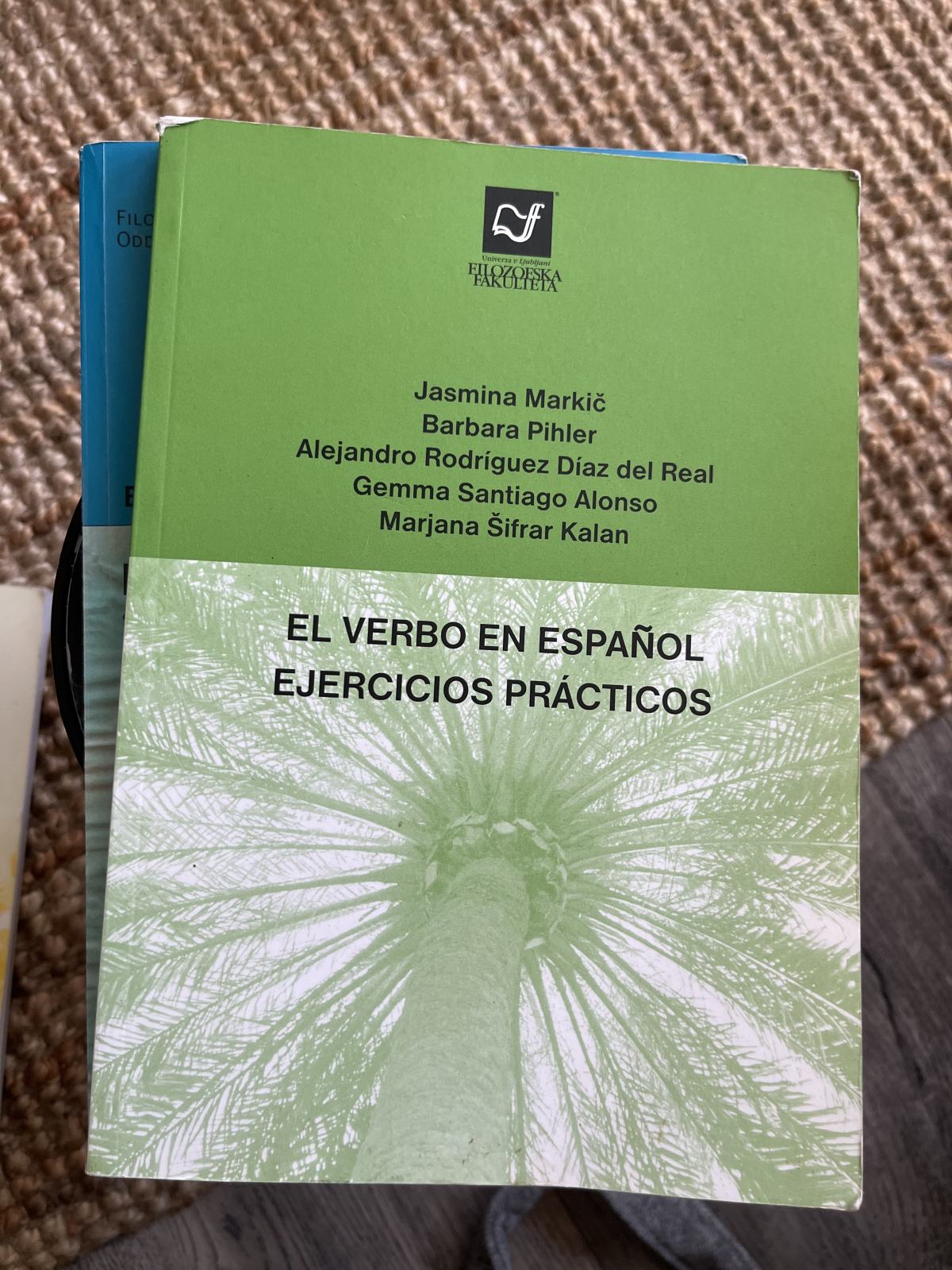 El verbo in espanol ejercicios practicos