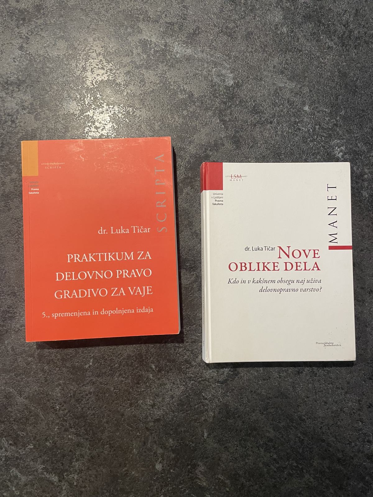 Nove oblike dela in Praktikum za delovno pravo