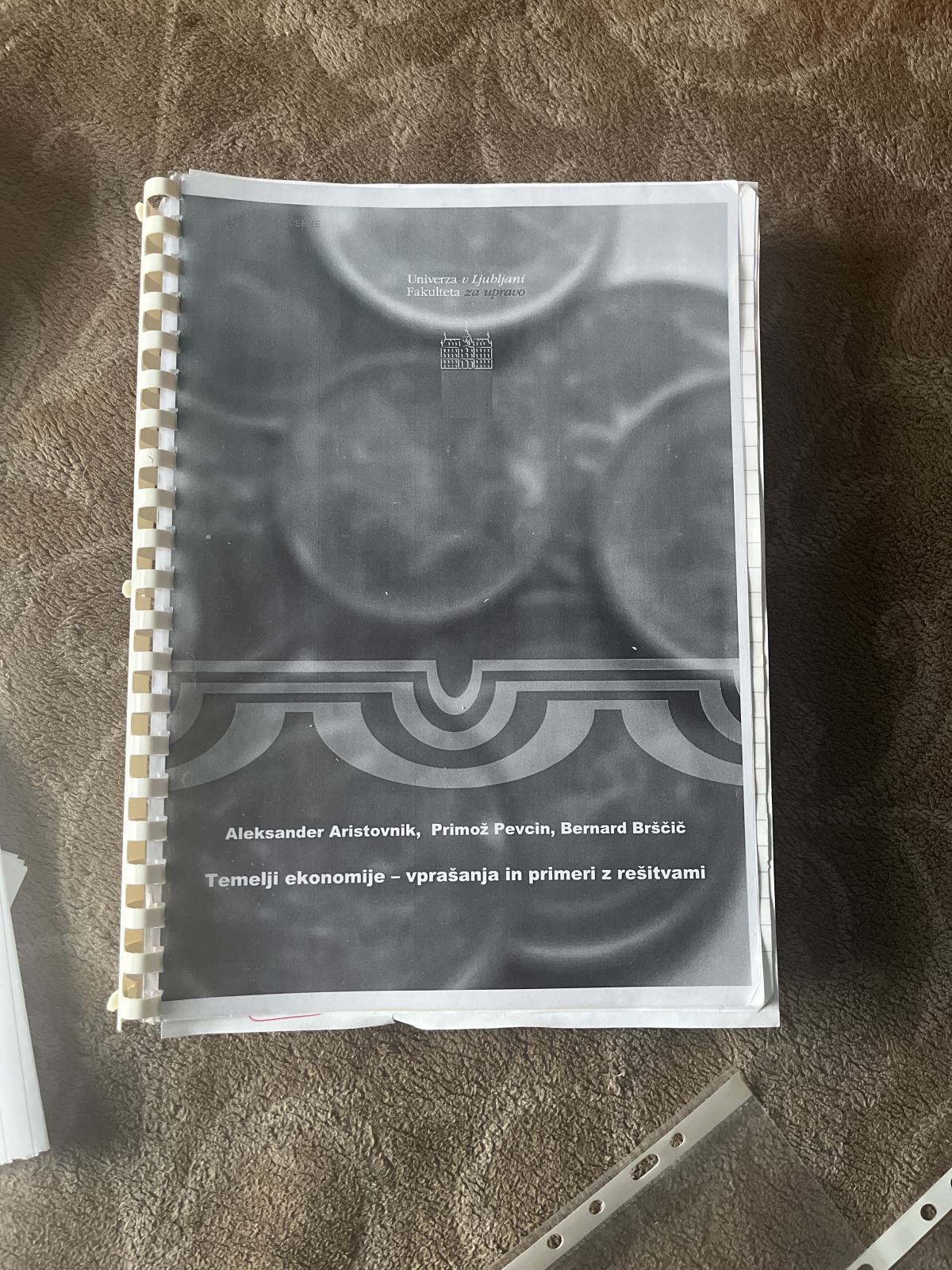 Temelji ekonomije - vprašanja in primeri z rešitvami