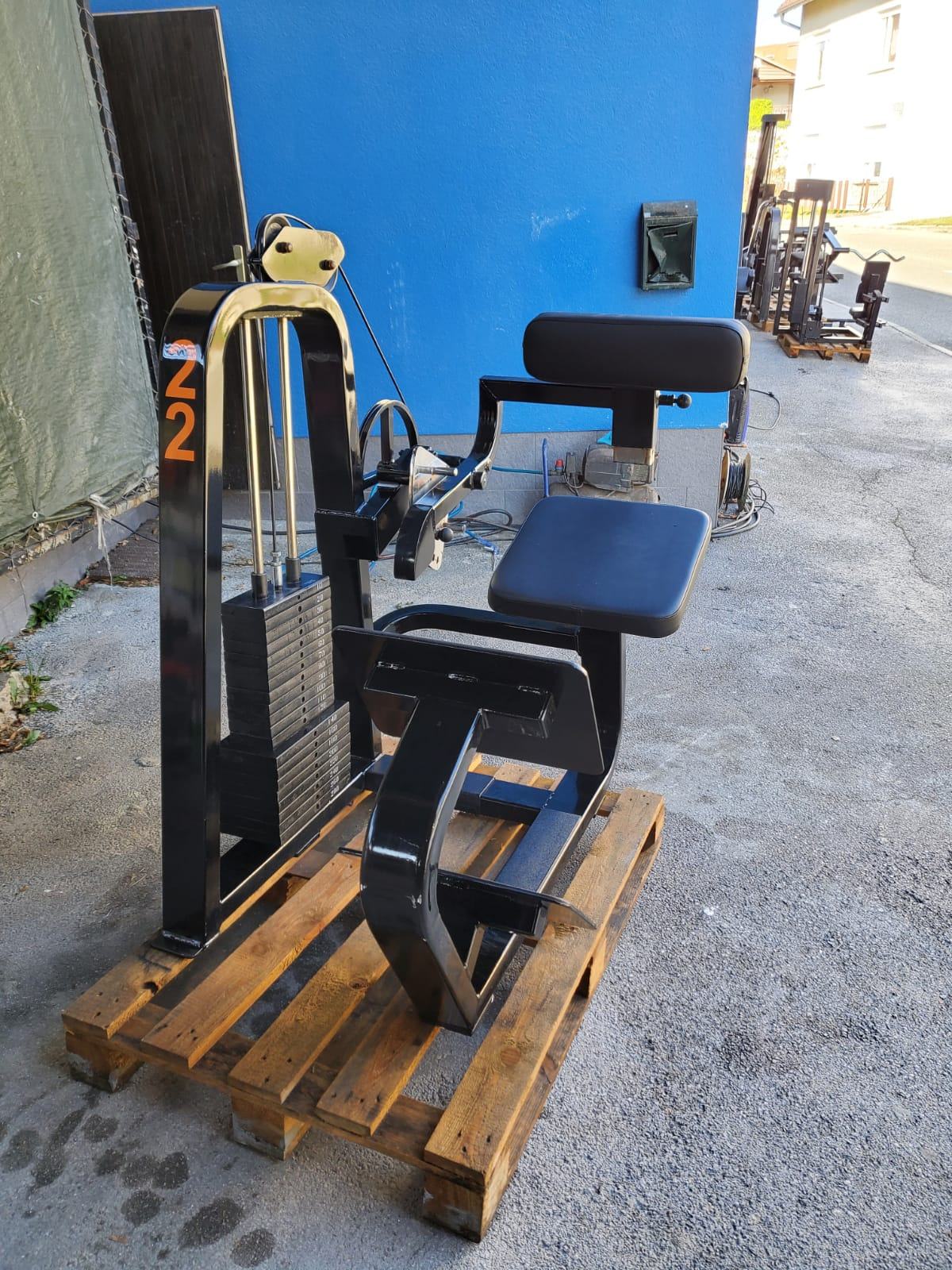 Paramount usa Back extension machine