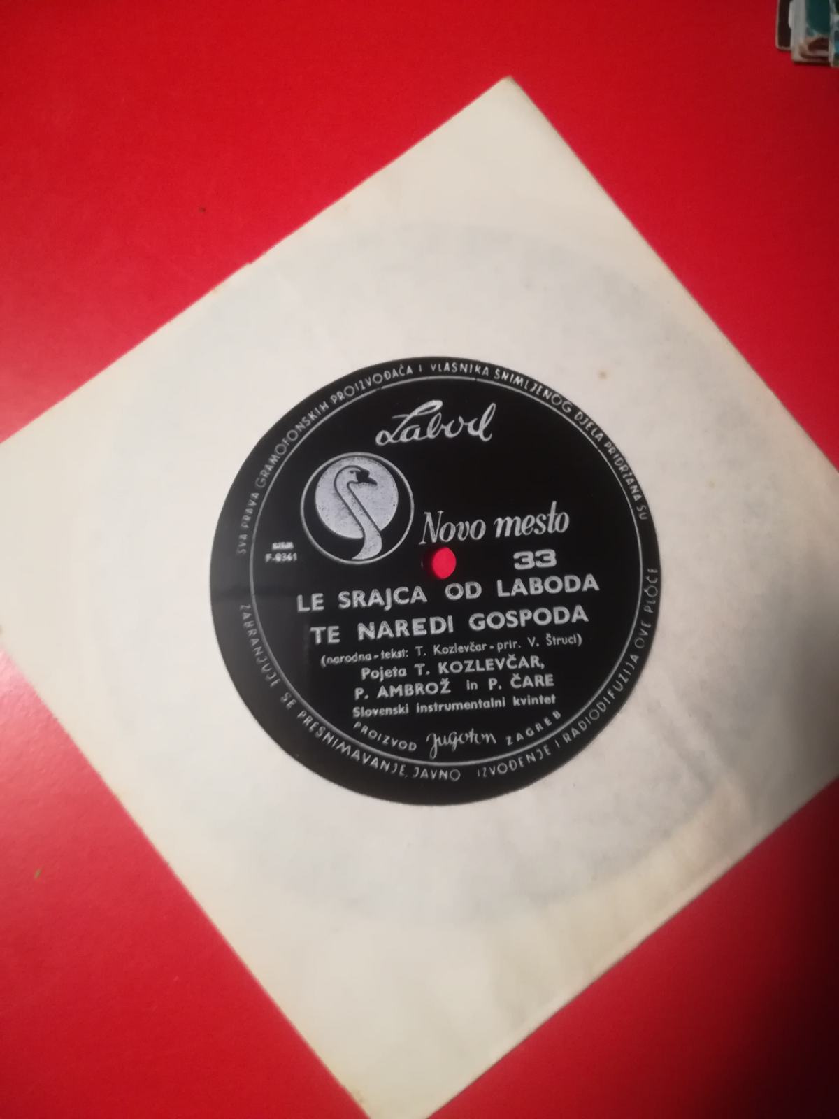 GRAMOFONSKA PLOŠČA - FLEXI, LABOD, NOVO MESTO
