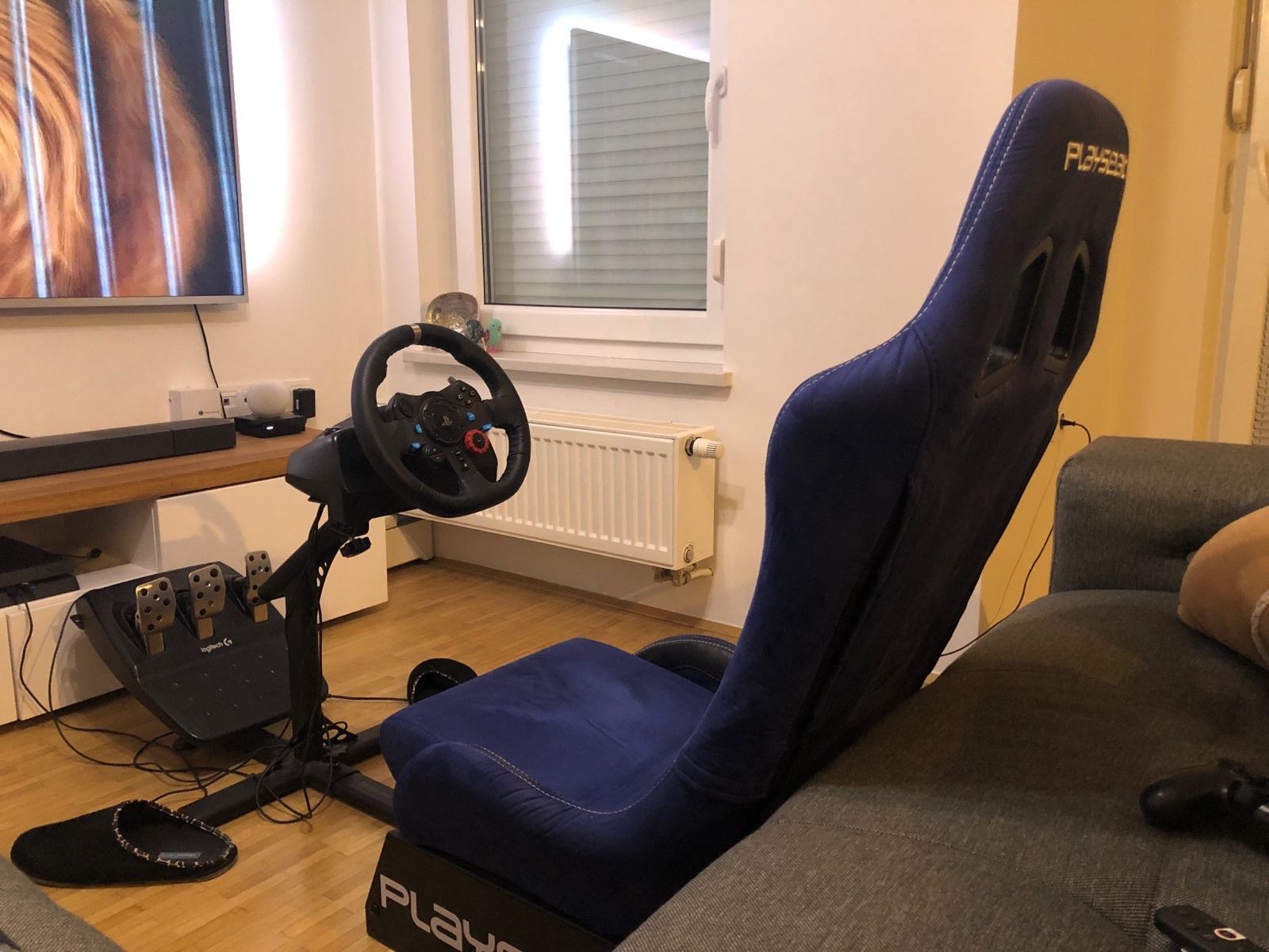 Playseat + Logitech g29