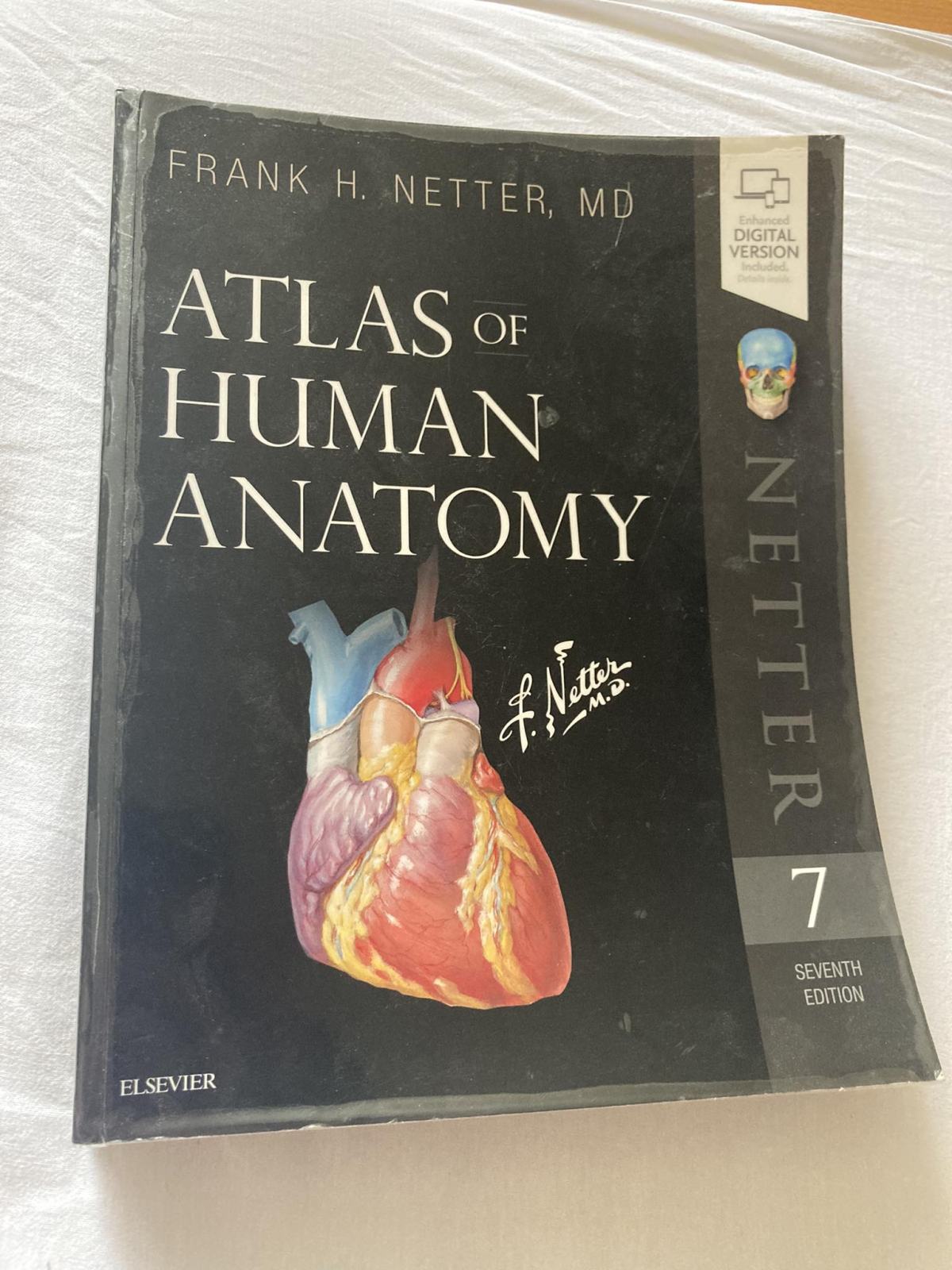 ATLAS OF HUMAN ANATOMY - NETTER 7th edition