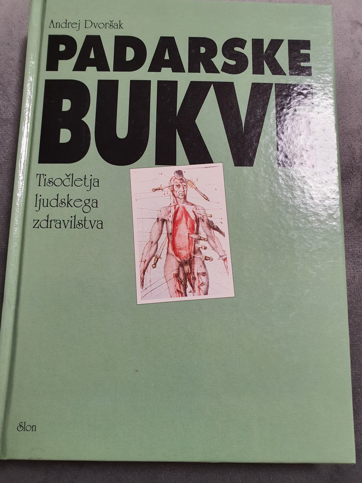 PADARSKE BUKVE, ANDREJ DVORŠAK