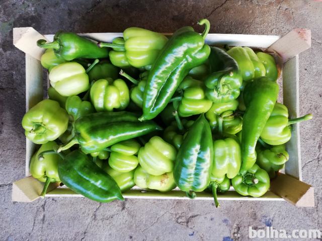 Domača neškropljena paprika