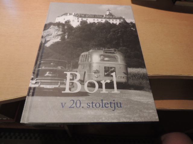 BORL V 20. STOLETJU M. PETROVIČ DRUŠTVO ZA OŽIVITEV GRADU BORL 2020