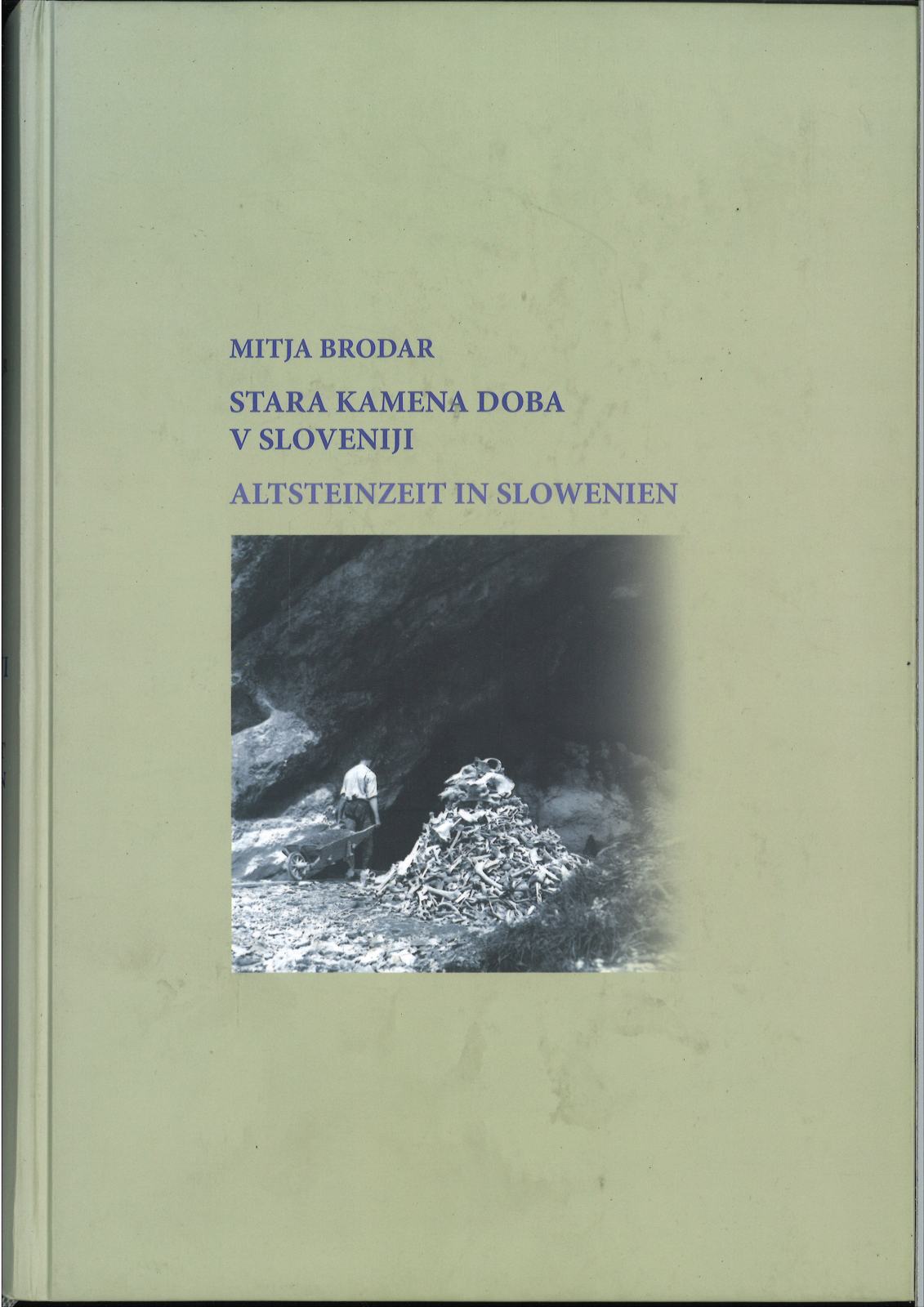Stara kamena doba v Sloveniji / Mitja Brodar