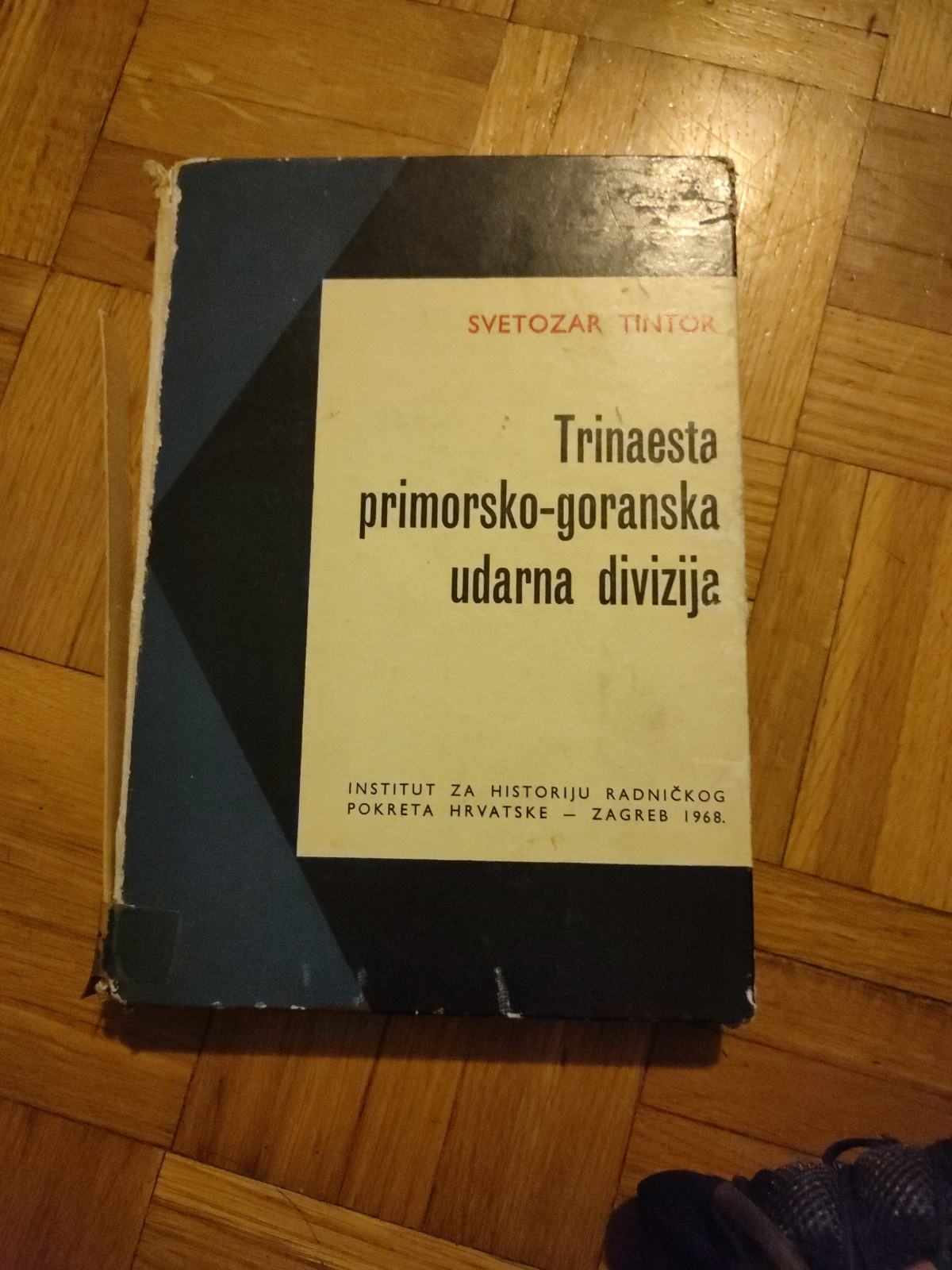 Trineaesta primorsko - goranska udarna divizija