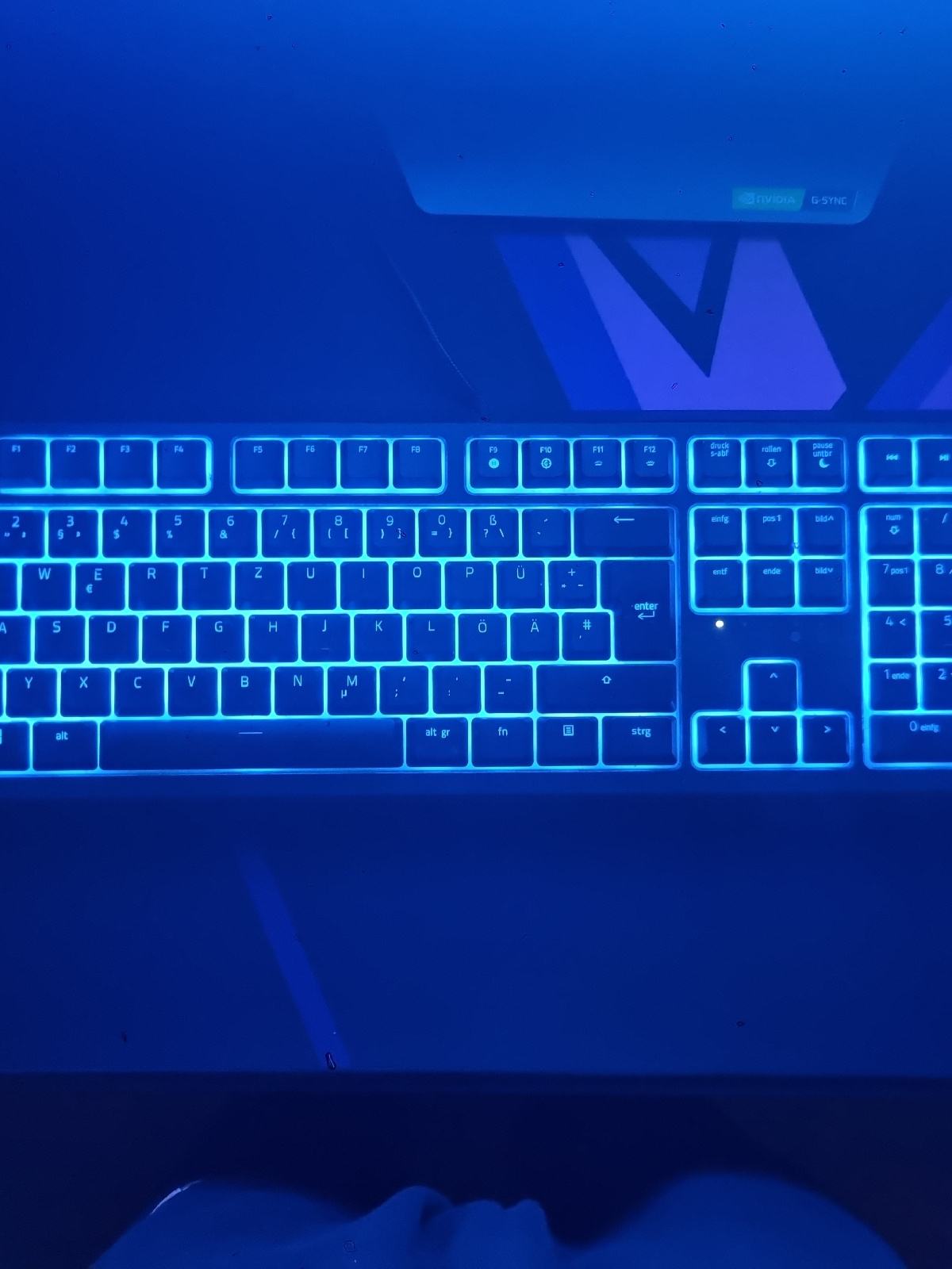 Razer 100% tipkovnica