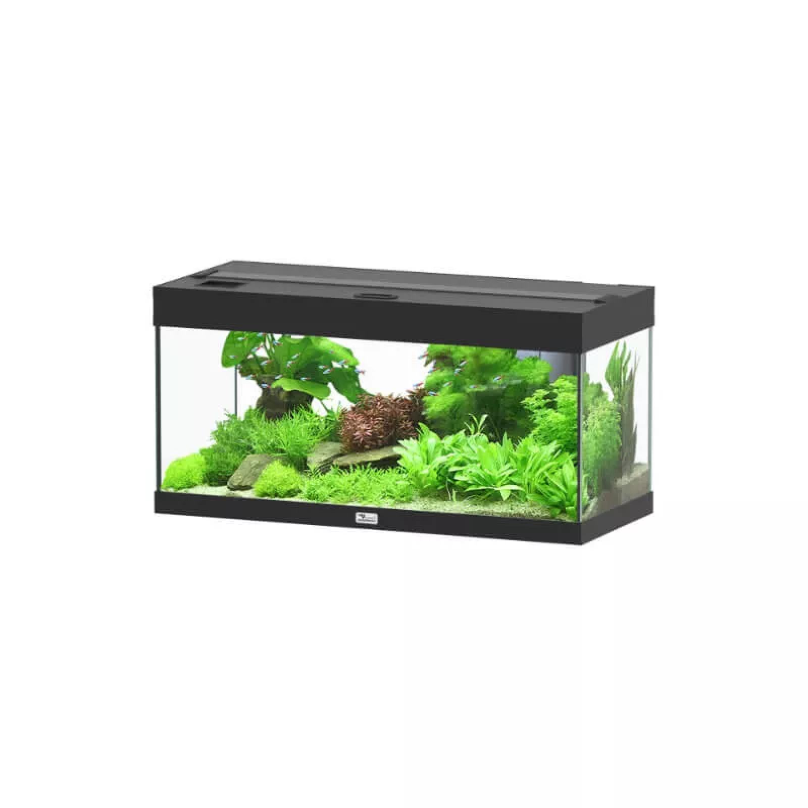 Akvarij 160L 100x40x40
