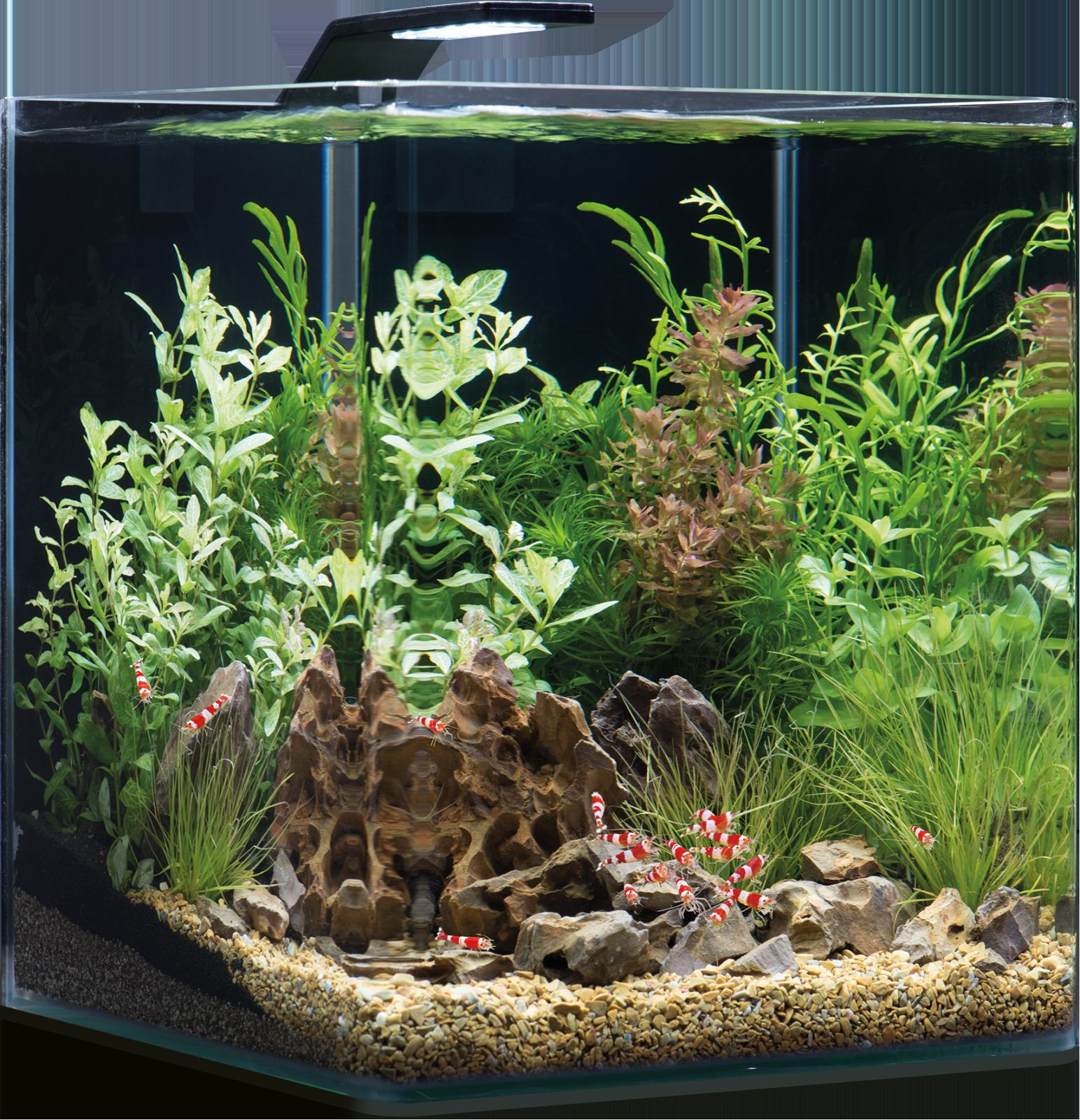 AKVARIJ Nano cube 30l + ostala oprema