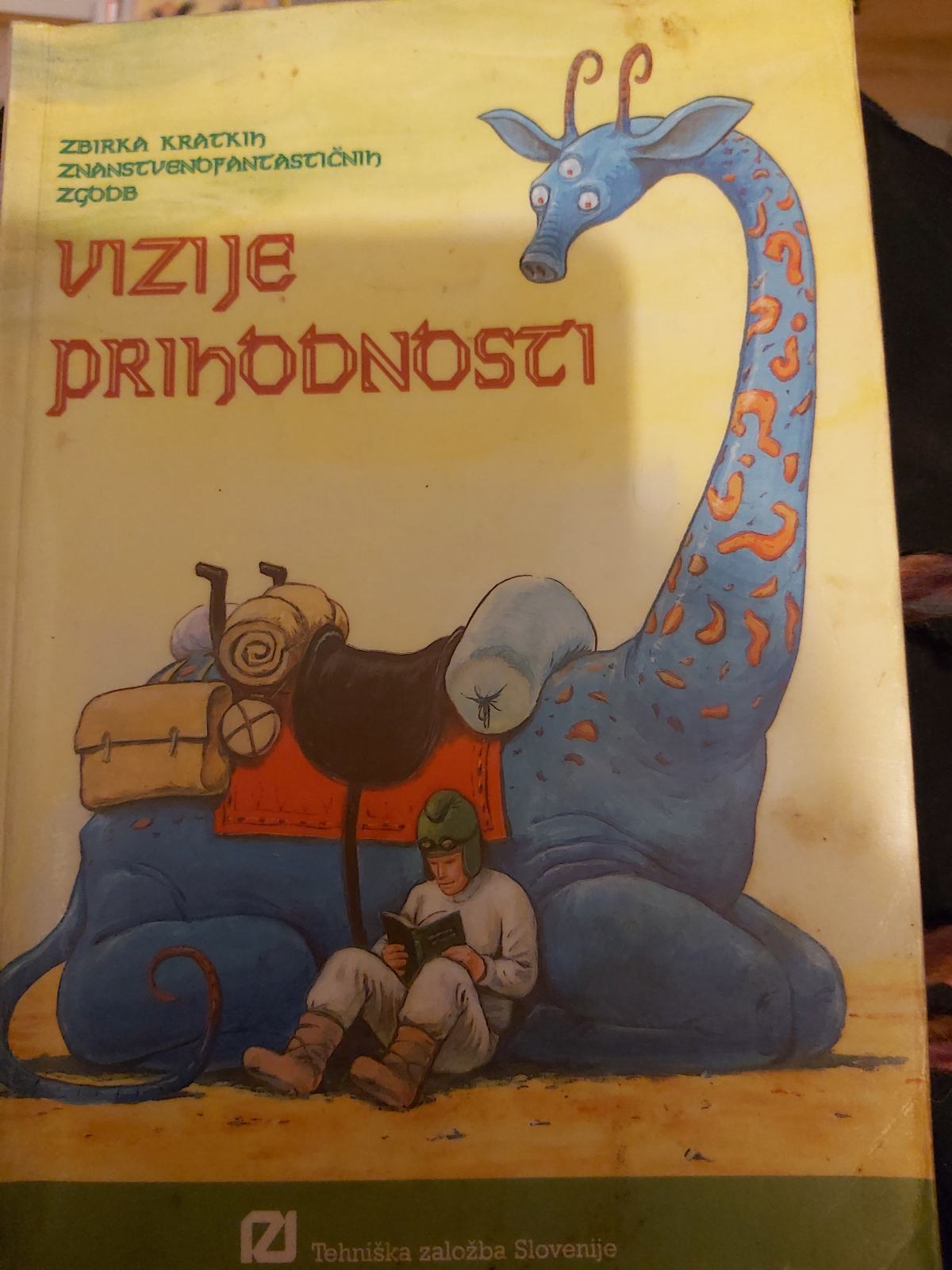 VIZIJE PRIHODNOSTI
